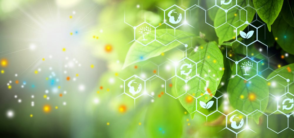 Mehr wissen | EIBA®-Wellness